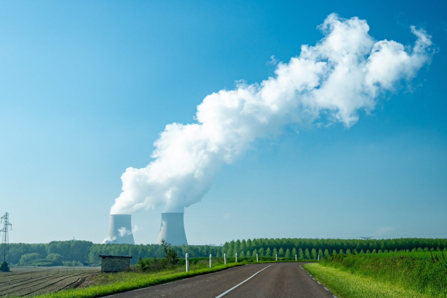 From Small Modular Reactors to Large Nuclear Plants